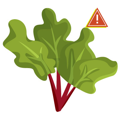 What Foods Can Dogs Not Eat? Toxic Foods To Avoid | Pets Best